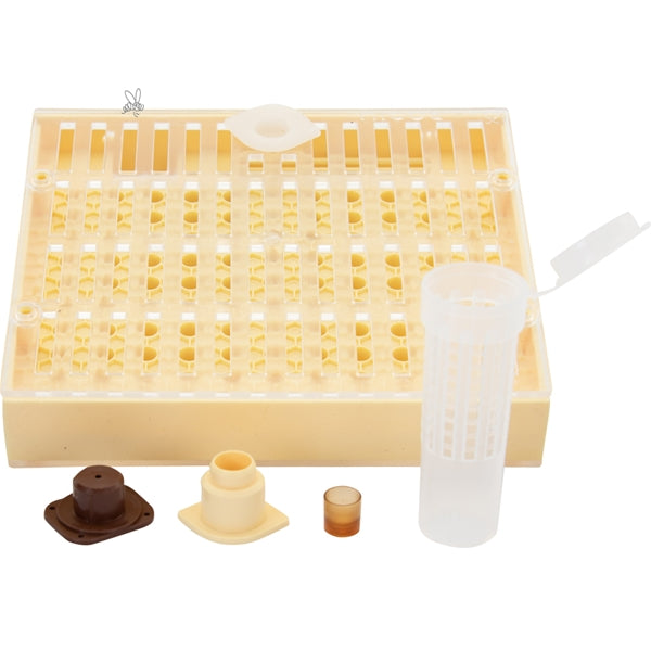 Nicot Queen Cup Rearing System Starter Kit | Queen Rearing | Nicot ...